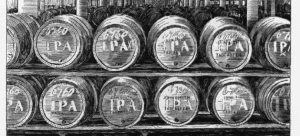 The IPA Adventure — Beer is for Everyone