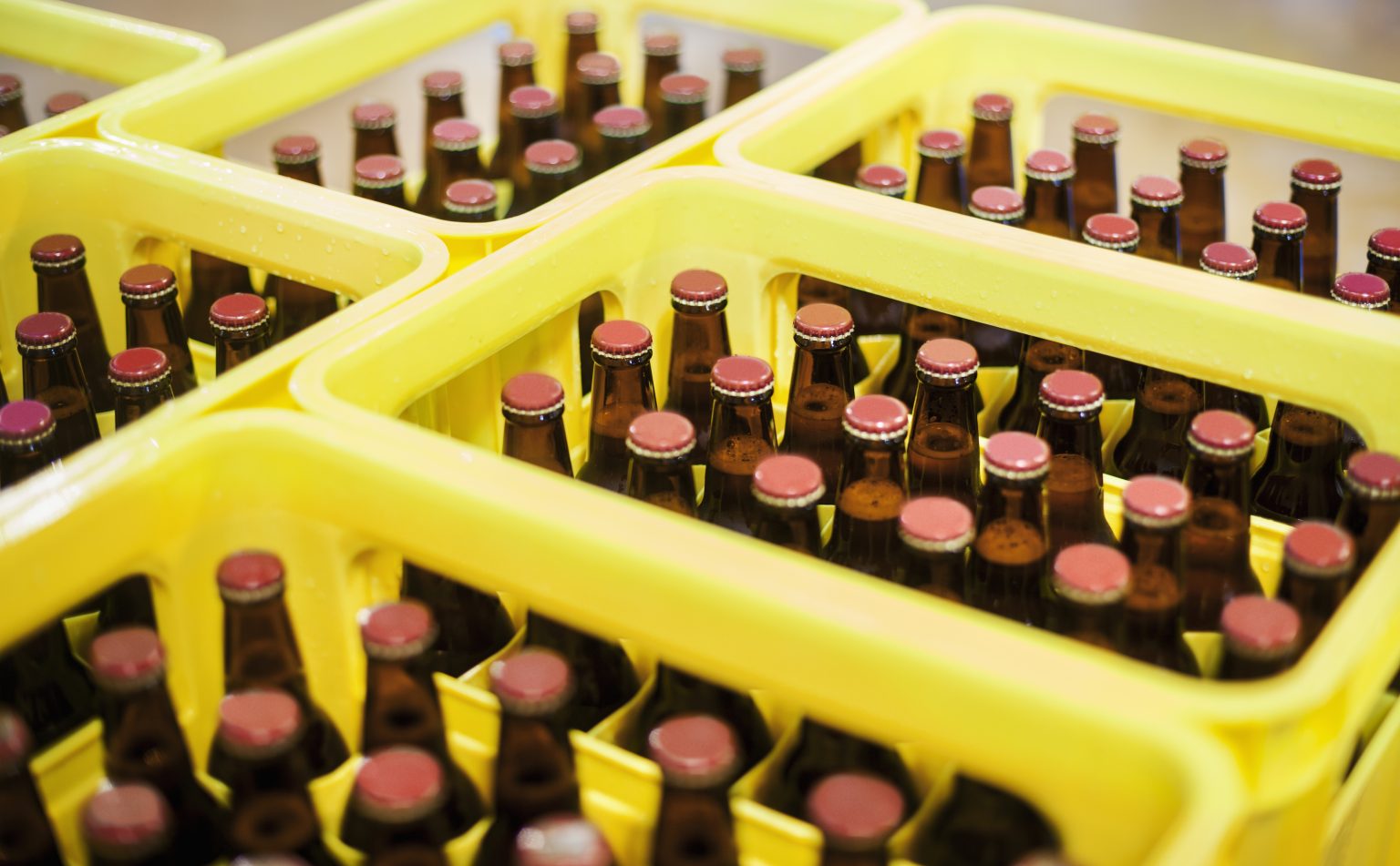 Lone Star Riddles — Beer is for Everyone